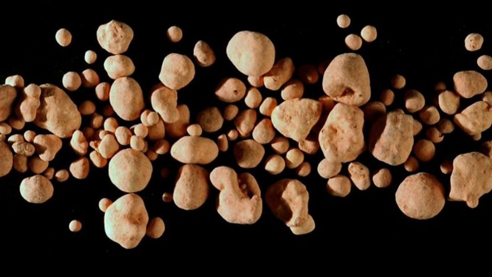 BBC Two - How Earth Made Us