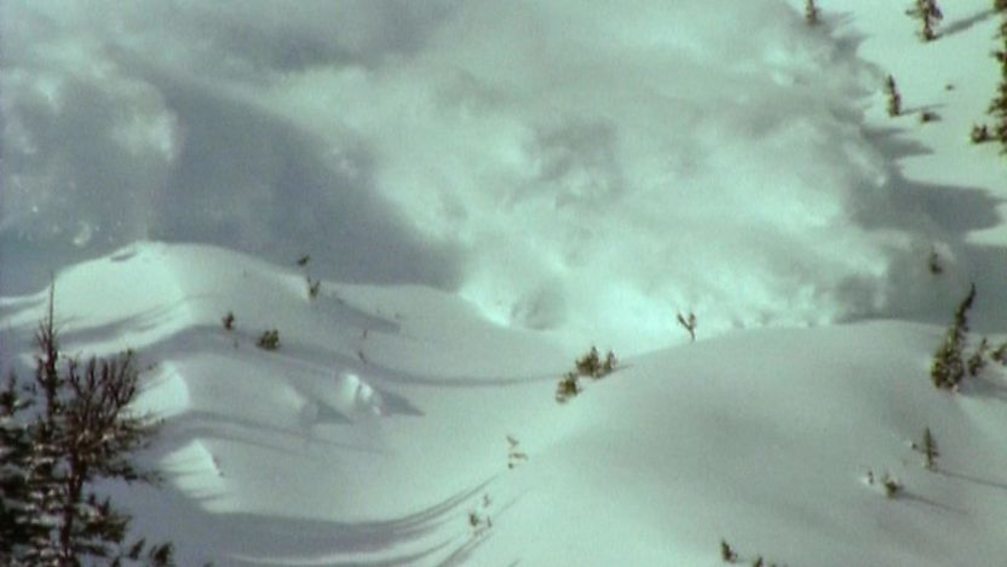 BBC Four - 10 Things You Didn't Know About..., Avalanches, The ...