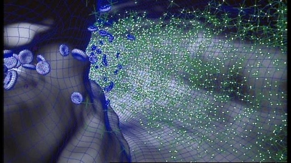 BBC One - Inside the Human Body, First to Last, An incredible journey ...