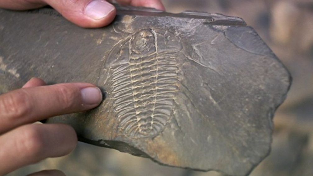 BBC Two - Wonders of the Universe