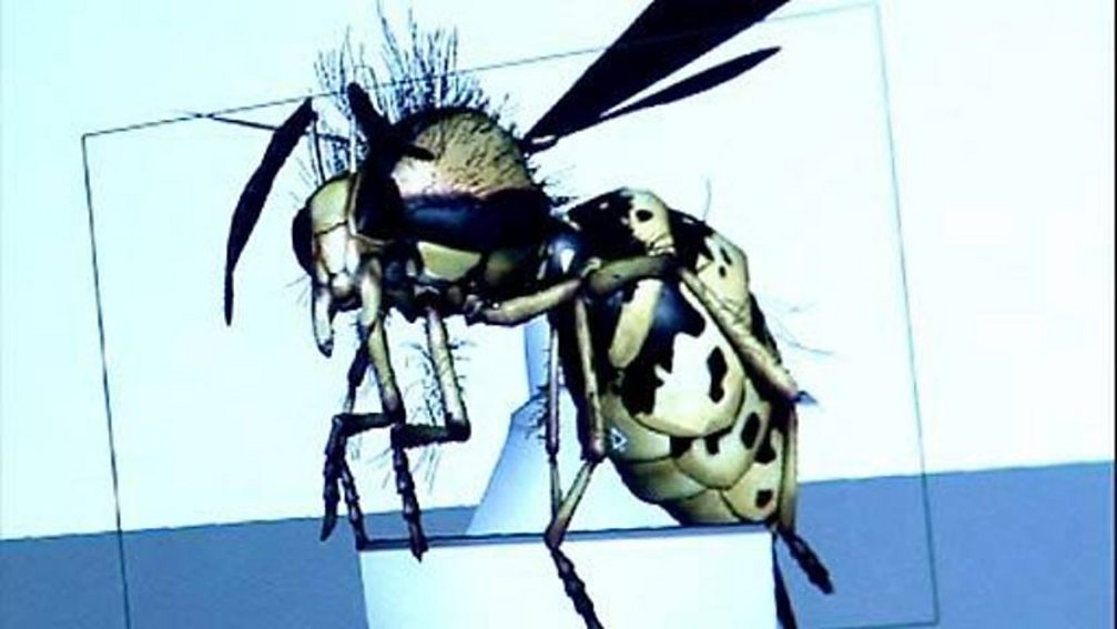 BBC One - Doctor Who (2005–2022), Series 4 - The Vespiform