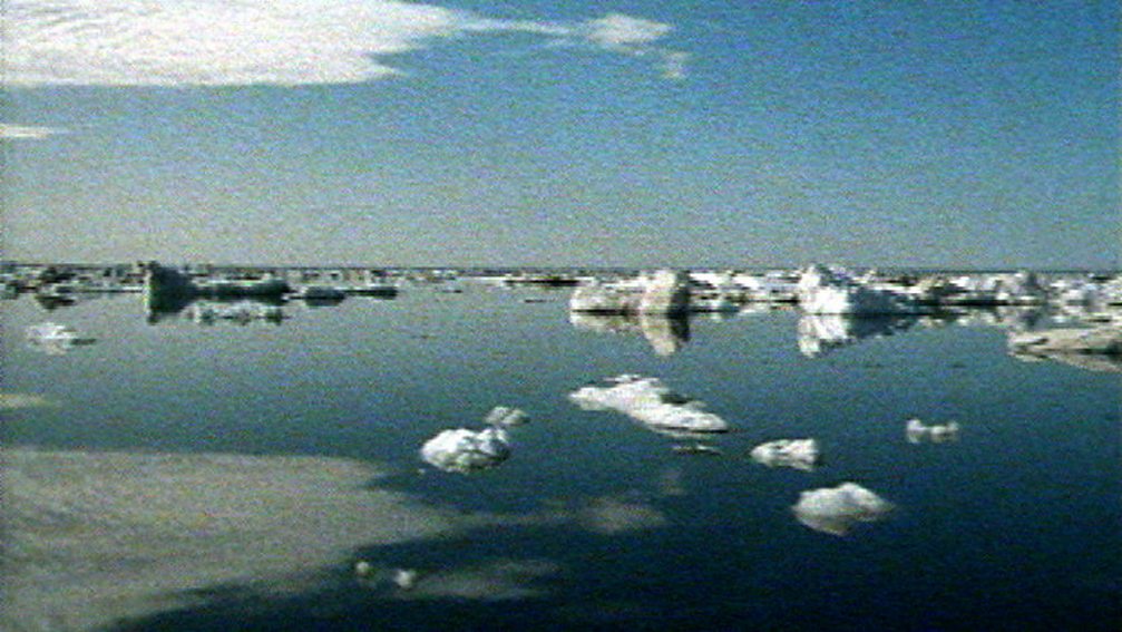 BBC One - Kingdom of the Ice Bear - Clips