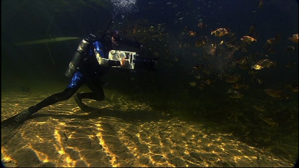 BBC One - Planet Earth, Fresh Water, Iguazu Falls aerials