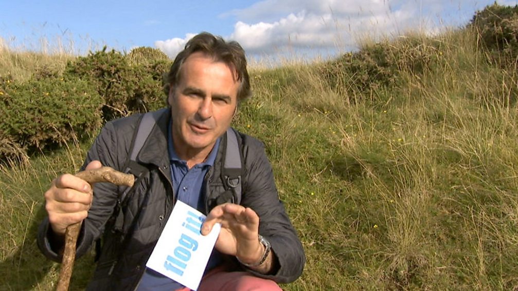 BBC One - Flog It!, Series 10
