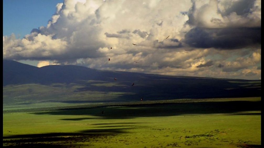 BBC One - Empire, Doing Good, Cecil Rhodes’s dream of conquest