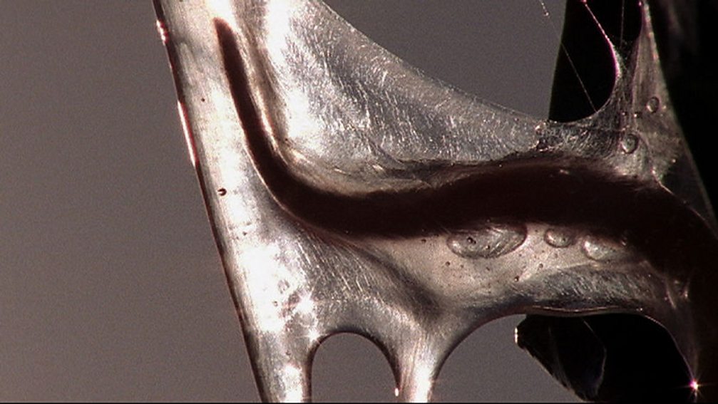 BBC Four - Weird Nature, Devious Defences, Snake in the grass