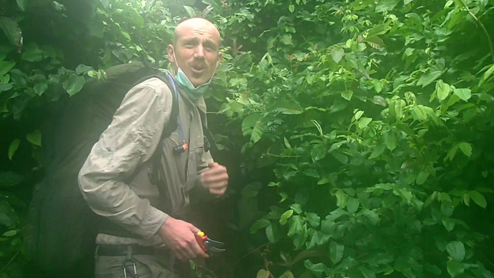 BBC One - Life Story, Series 1, First Steps, David Attenborough meets ...