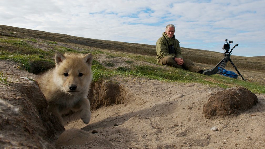 BBC - Wonderful wildlife with Gordon Buchanan