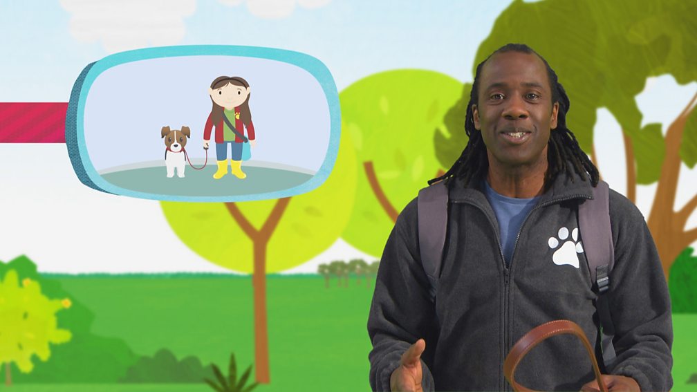 BBC - iPlayer Kids Awesome Animals