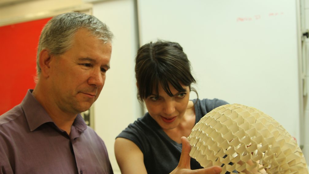 BBC Two - Biomimetics - Designed by Nature, An Introduction into ...