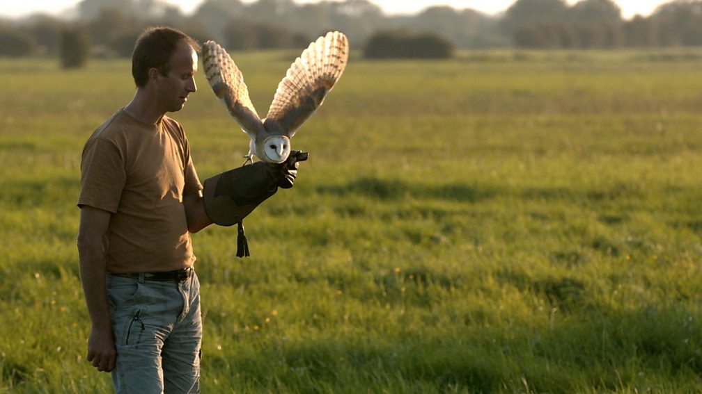 BBC Two - Natural World, 2015-2016, Super-Powered Owls, Flying silently