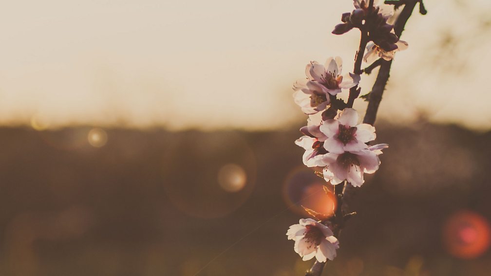 BBC Radio 4 - Thought for the Day, Rev Dr Sam Wells - 27/10/2025