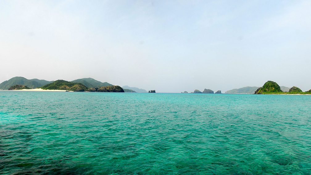 BBC Two - Japan: Earth's Enchanted Islands - Honshu