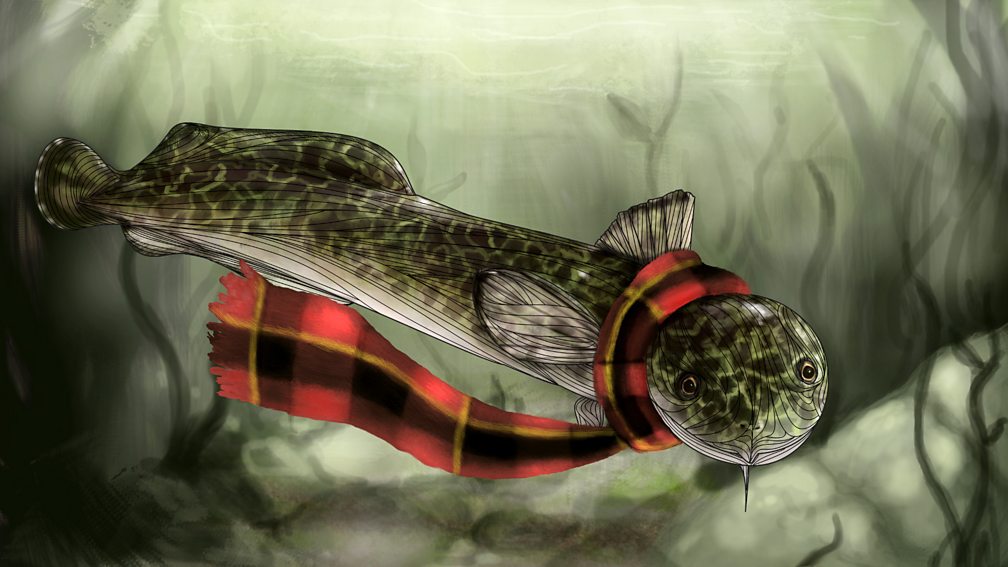 BBC Radio 4 - Natural Histories, Burbot - 10 fishy facts about burbots