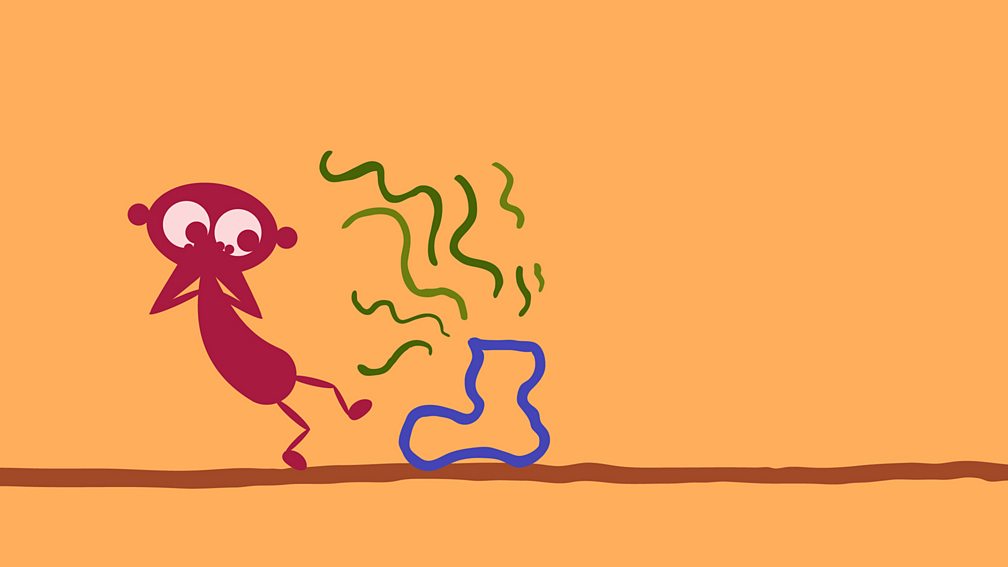 CBeebies - Dipdap - Episode guide