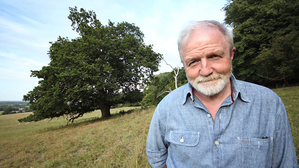 BBC Four - Oak Tree: Nature's Greatest Survivor, The ink that helped to ...