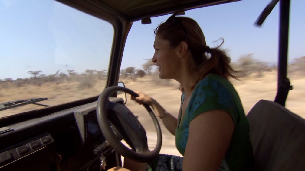 BBC Two - This Wild Life