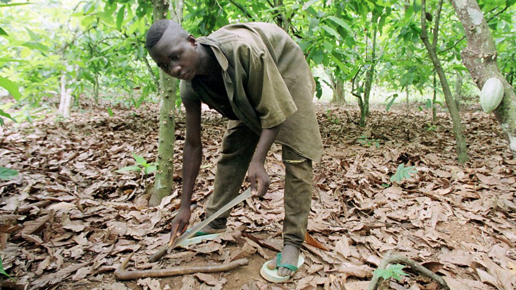 BBC World Service - Newsday, Chocolate class action for alleged child ...