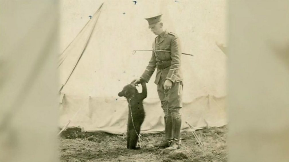 BBC World Service - Newsday, The Real Winnie the Pooh