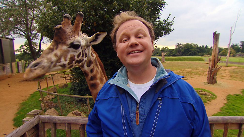 CBeebies - Our Planet, Underwater Movements and Orangutans, Animals ...