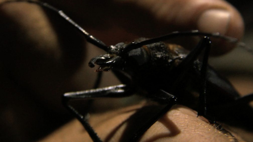 BBC Two - Steve Backshall's Extreme Mountain Challenge, Episode 1, Web ...