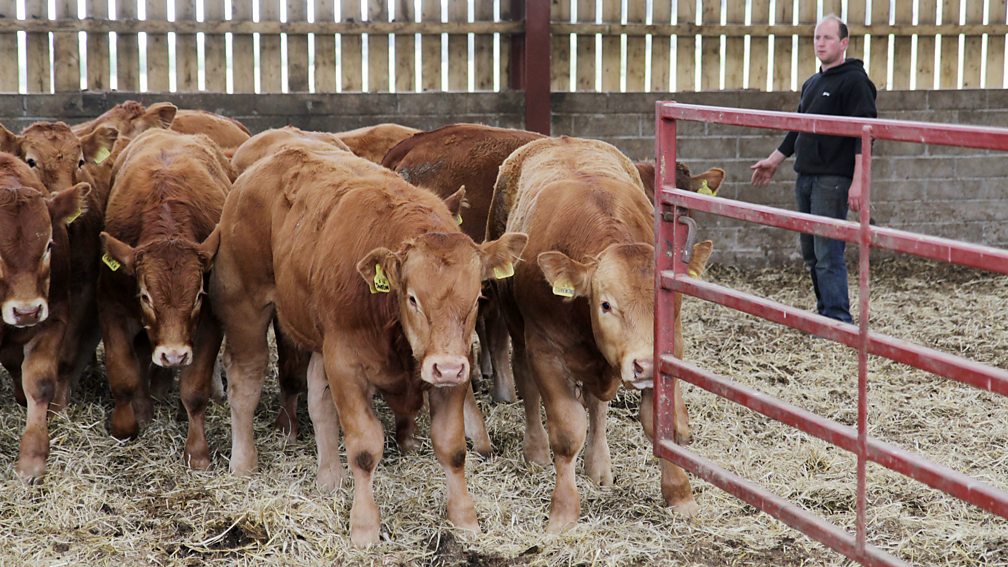 BBC Two - This Farming Life, Series 1 - Episode guide