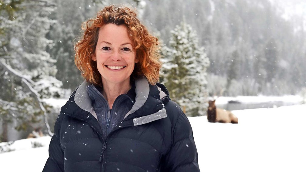 BBC Two - Yellowstone