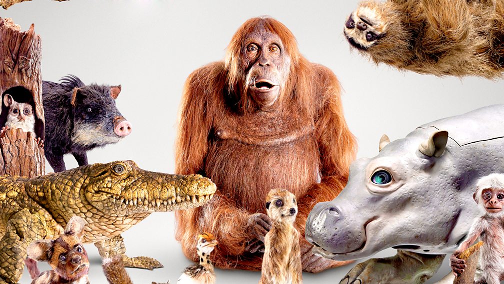 BBC One - Spy in the Wild, Series 1