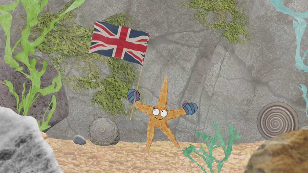 CBeebies Radio - Old Jack's Boat: Rockpool Tales - Clips