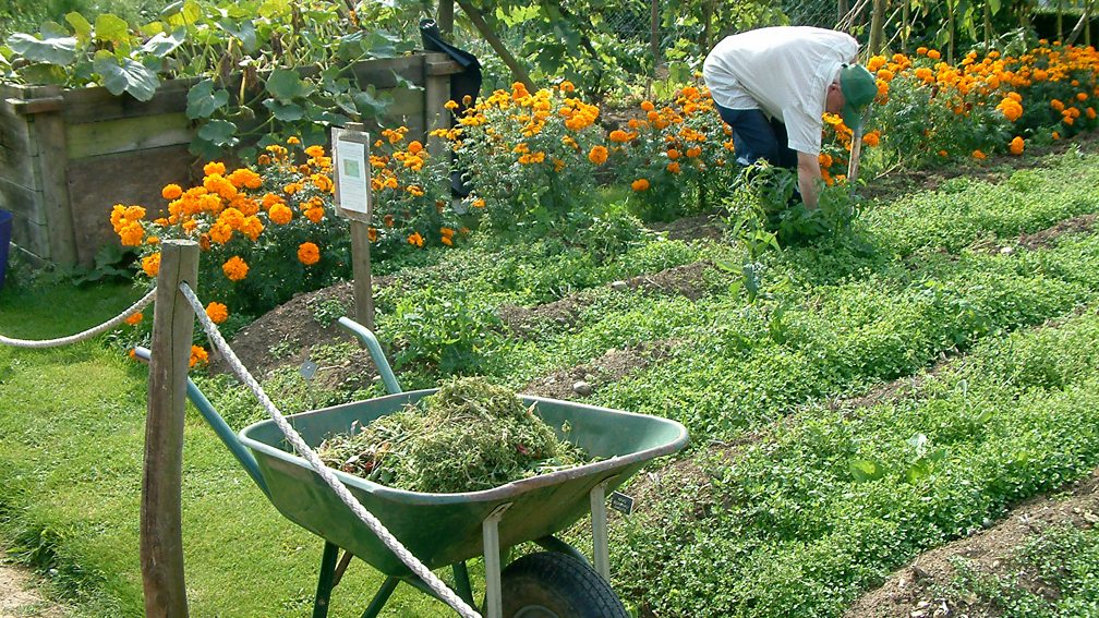 BBC Radio 4 - Gardeners' Question Time