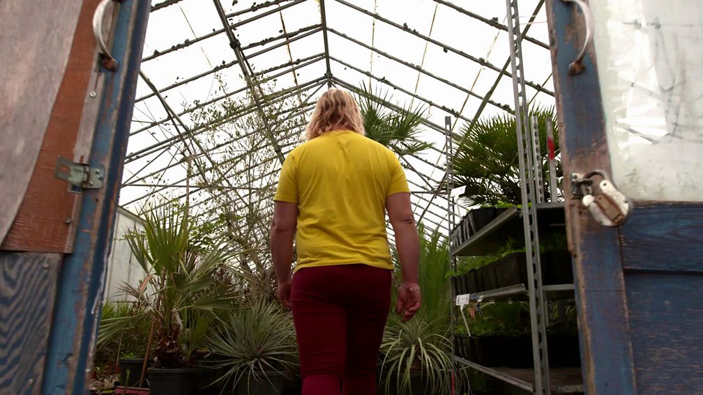 BBC Two - RHS Chelsea Flower Show, 2017, World Horse Welfare garden