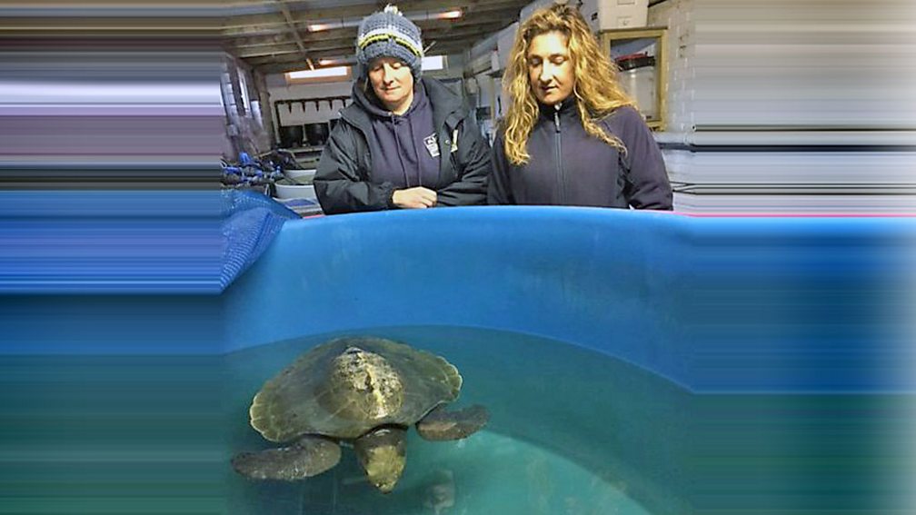 BBC Radio Cymru - Galwad Cynnar, 10/06/2017, Hanes tornado Oklahoma gan ...