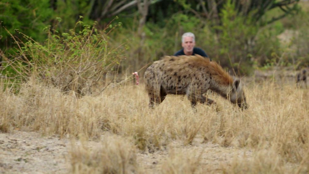BBC Two - Tribes, Predators & Me