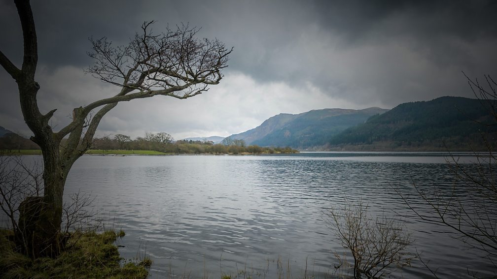 BBC - Why Music? The Key to Memory