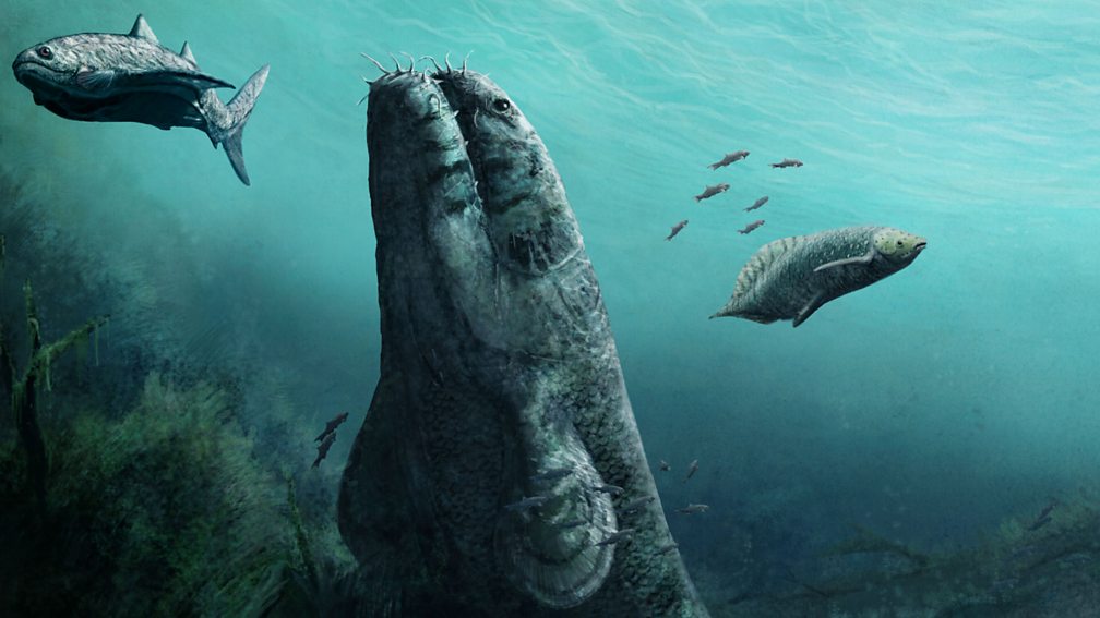 BBC World Service - CrowdScience, How Did Life Get onto Land?, Why did ...