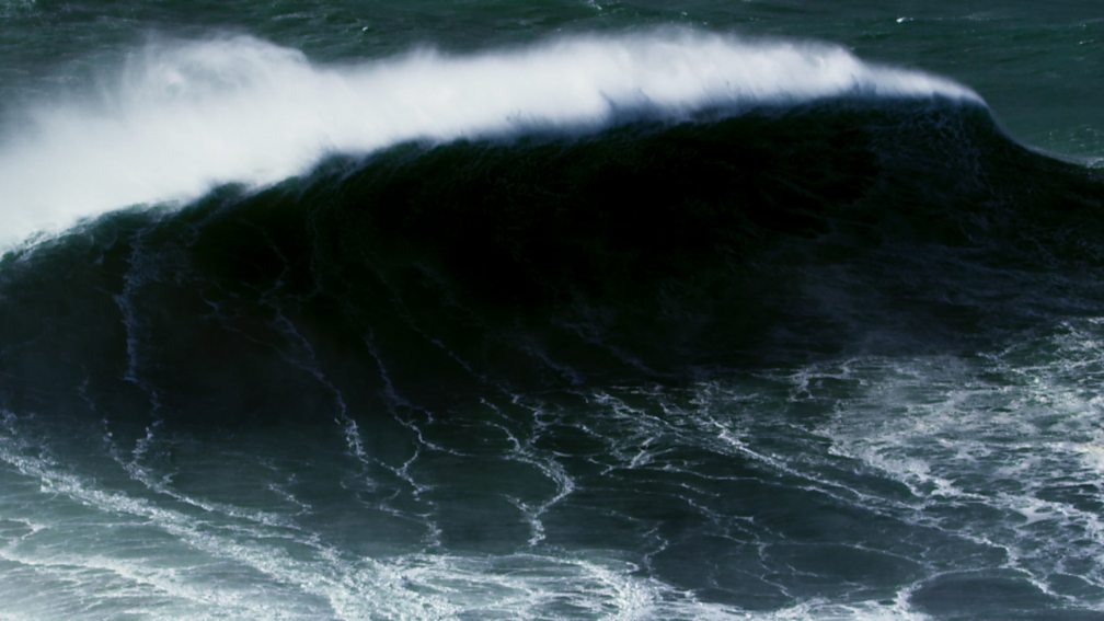 BBC One - Blue Planet II, Series 1, Coasts