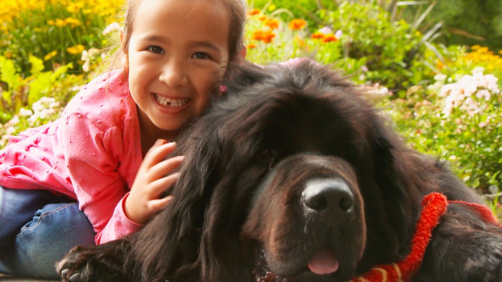 CBeebies - Ferne and Rory's Vet Tales, Series 1 - Episode guide