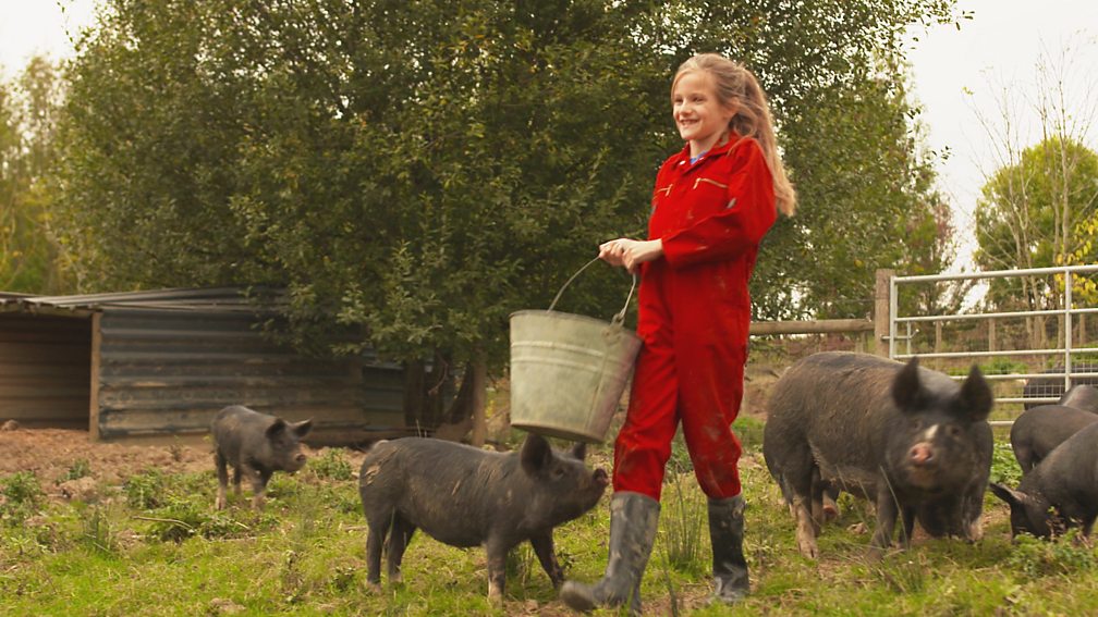 CBeebies - Ferne and Rory's Vet Tales, Series 1 - Episode guide