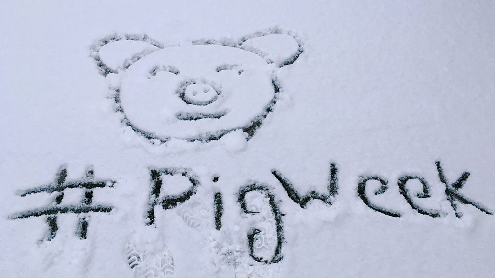 BBC Radio 4 - Farming Today