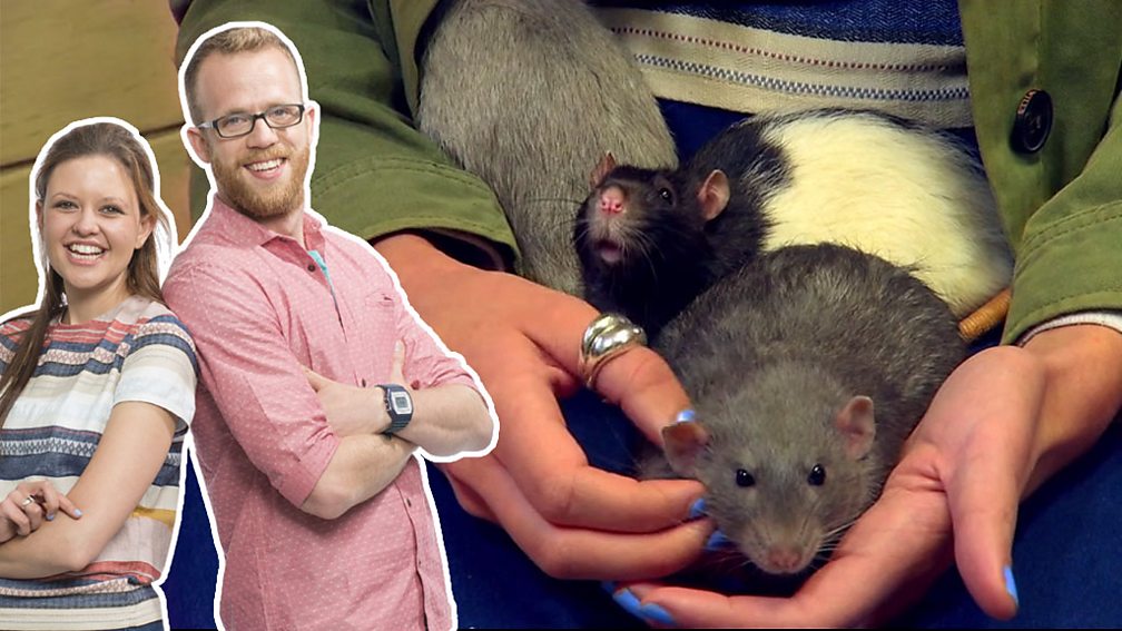 CBeebies Radio - My Pet And Me - Available now