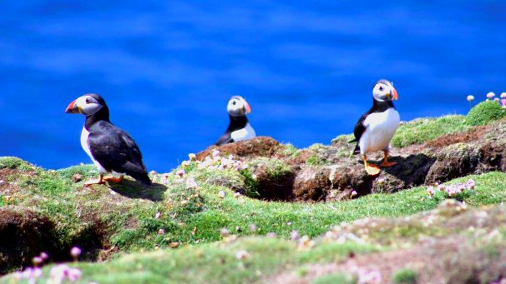 BBC Radio Ulster - Your Place and Mine, Ballycastle, Banbridge and ...