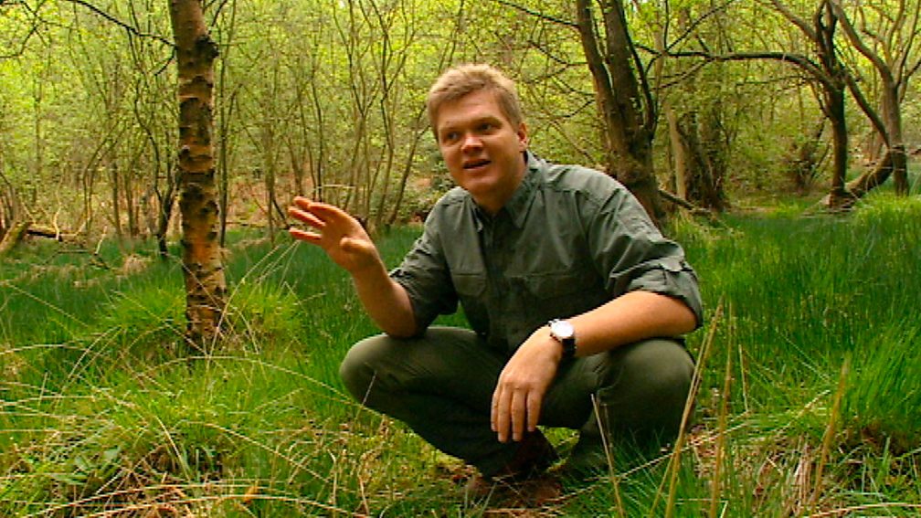 BBC Two - Ray Mears' Bushcraft - Episode guide
