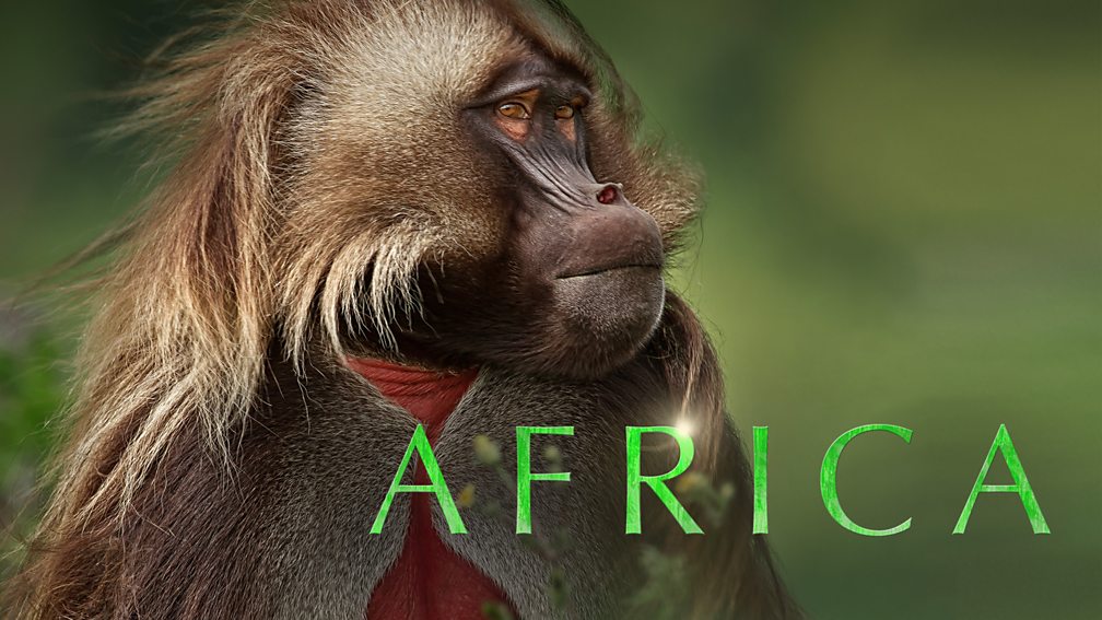 BBC One - Africa - Available now