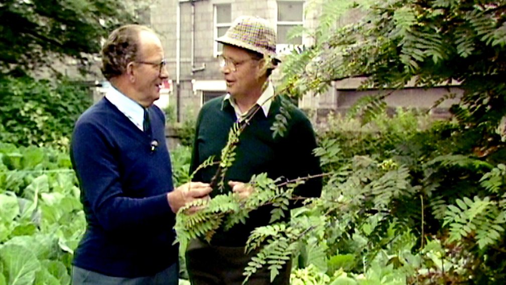 BBC Scotland - BBC Scotland - Breaking new ground: how Carole Baxter ...