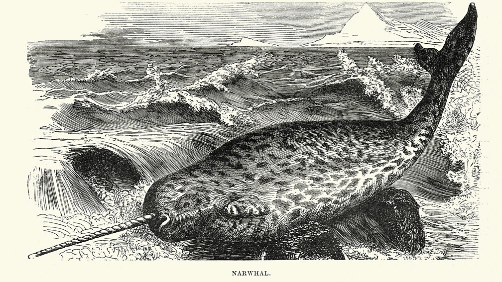 BBC Radio 4 - Natural Histories, Nightshades - Meet the nightshade family