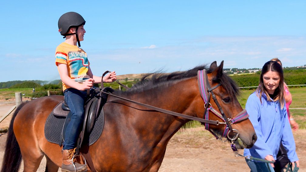 CBeebies - Ferne and Rory's Vet Tales - Episode guide