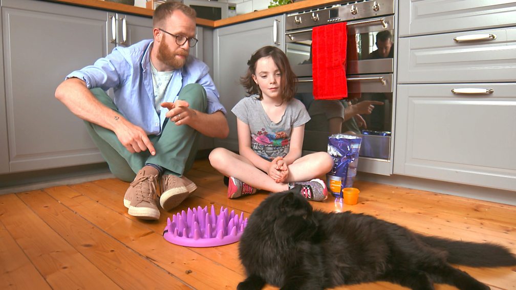 CBeebies - Ferne and Rory's Vet Tales - Episode guide