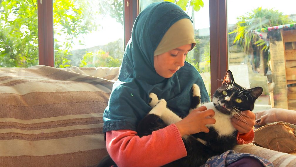 CBeebies - Ferne and Rory's Vet Tales - Episode guide