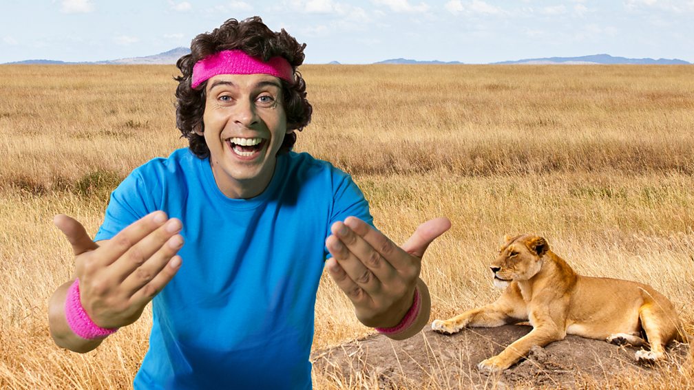 CBeebies - Andy's Wild Workouts - Episode guide