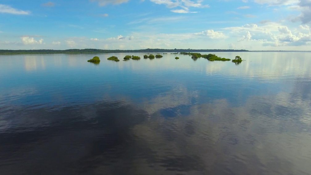 BBC Two - Earth's Great Rivers, Series 1, Amazon, Flying along the ...